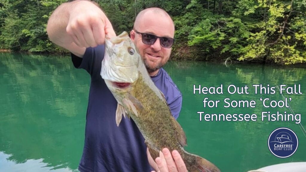 Head Out This Fall For Some 'Cool' Tennessee Fishing - Carefree Boat ...